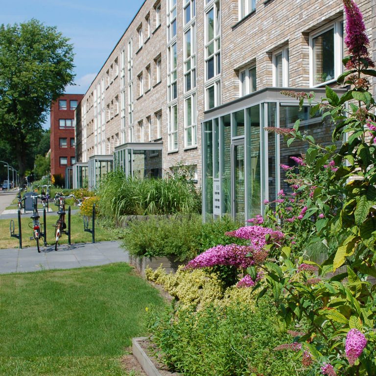 Uw zakelijke groenpartner en groenvoorzieningsbedrijf - Biesot