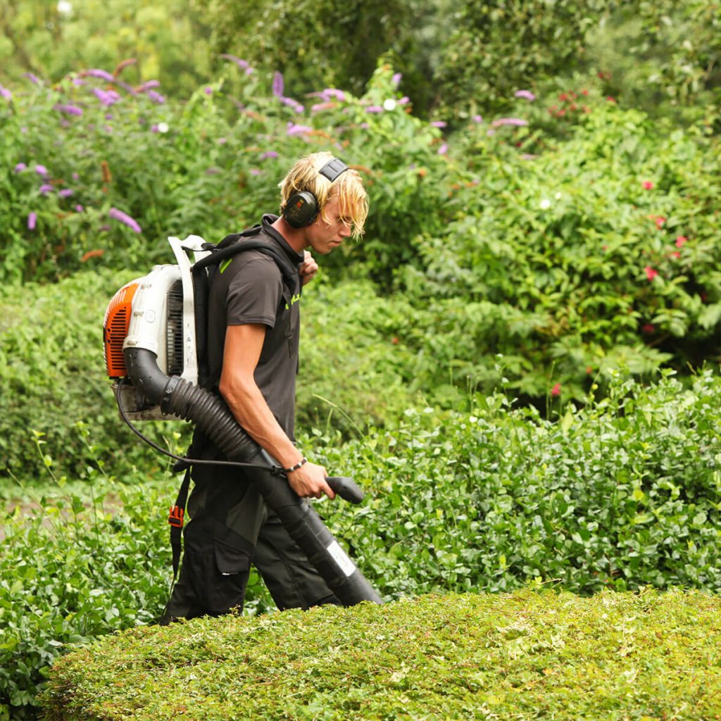 Uw zakelijke groenpartner en groenvoorzieningsbedrijf - Biesot